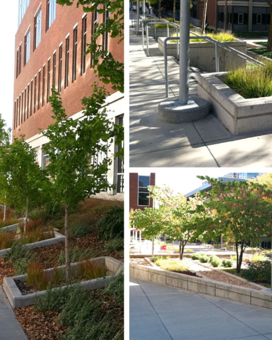 Trust us for sustainable landscape design - McNeil Engineering